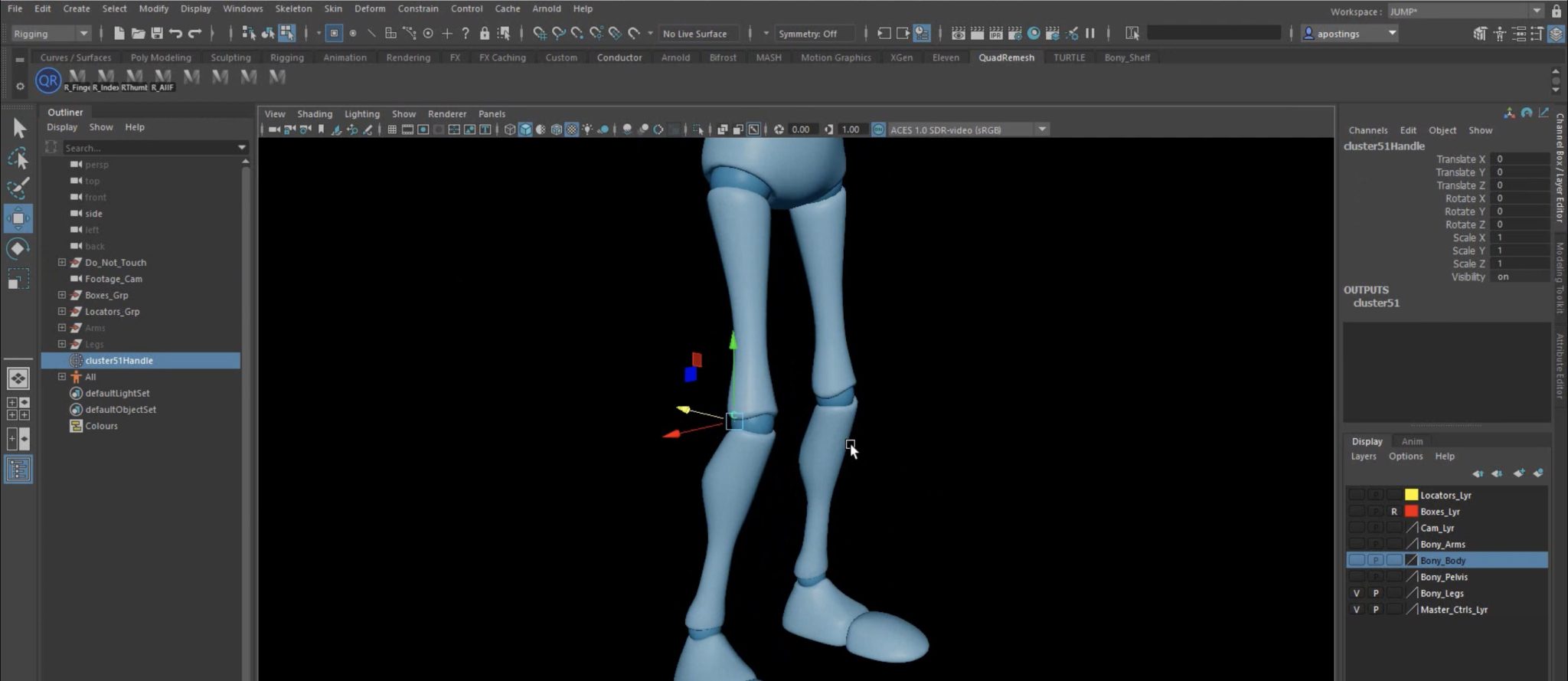 Week 7: lecture topics – Anatomy and movement | M.Caprio lcc 3D ...
